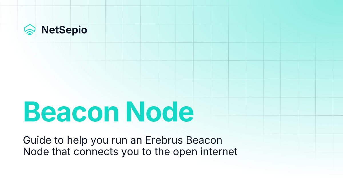 Beacon Node | NetSepio