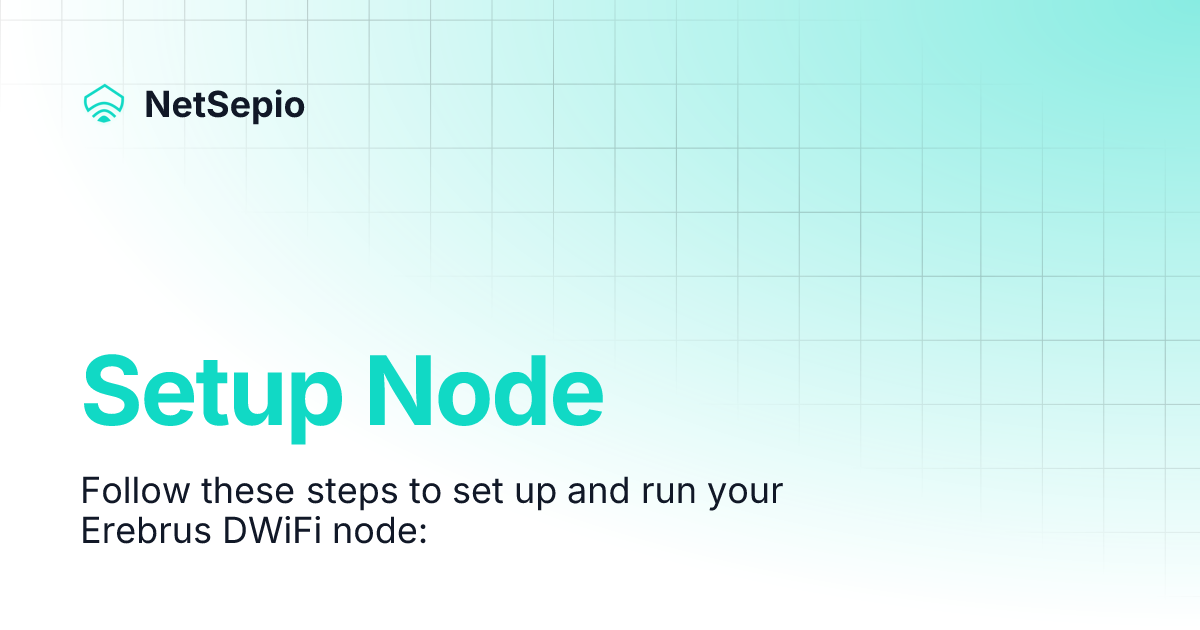 Setup Node | NetSepio
